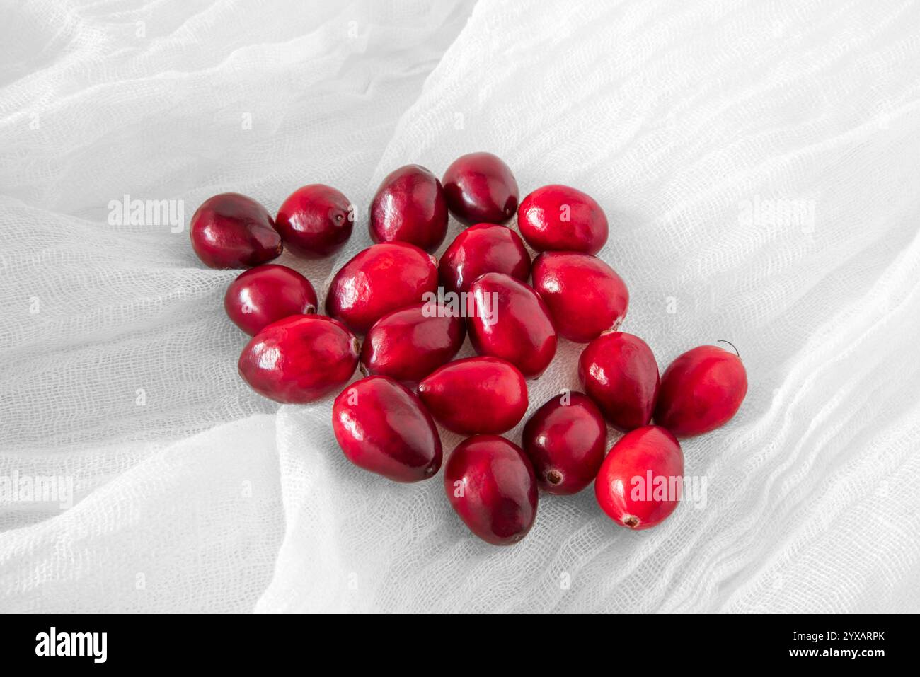 Cranberries fresh ripe organic hi-res stock photography and images - Alamy
