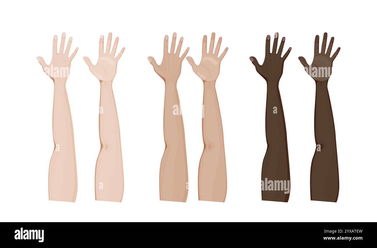 Arms anatomical Stock Vector Images - Alamy