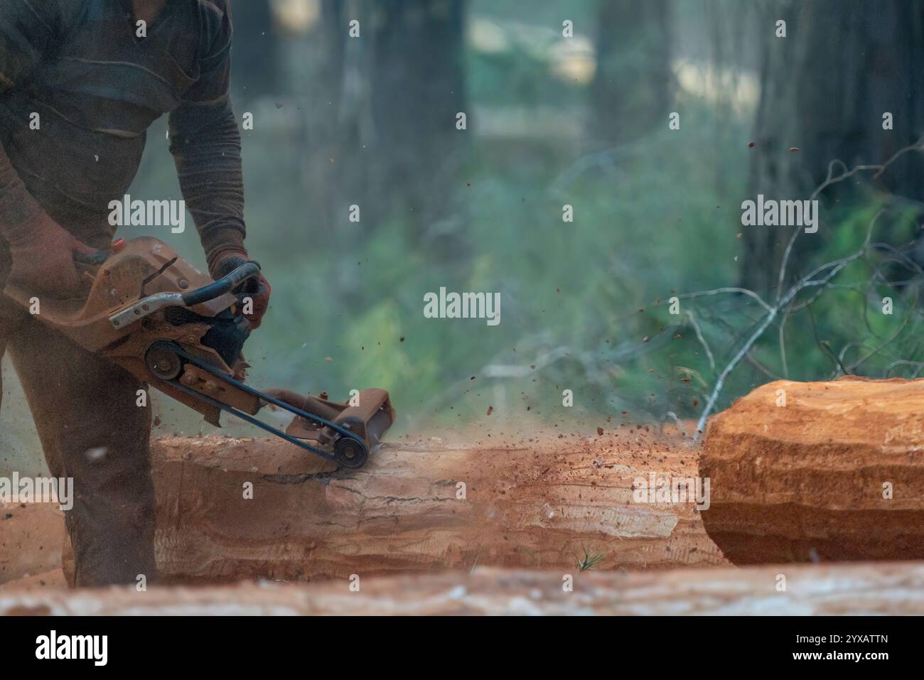 Forestry industry brush cutter hi-res stock photography and images - Alamy
