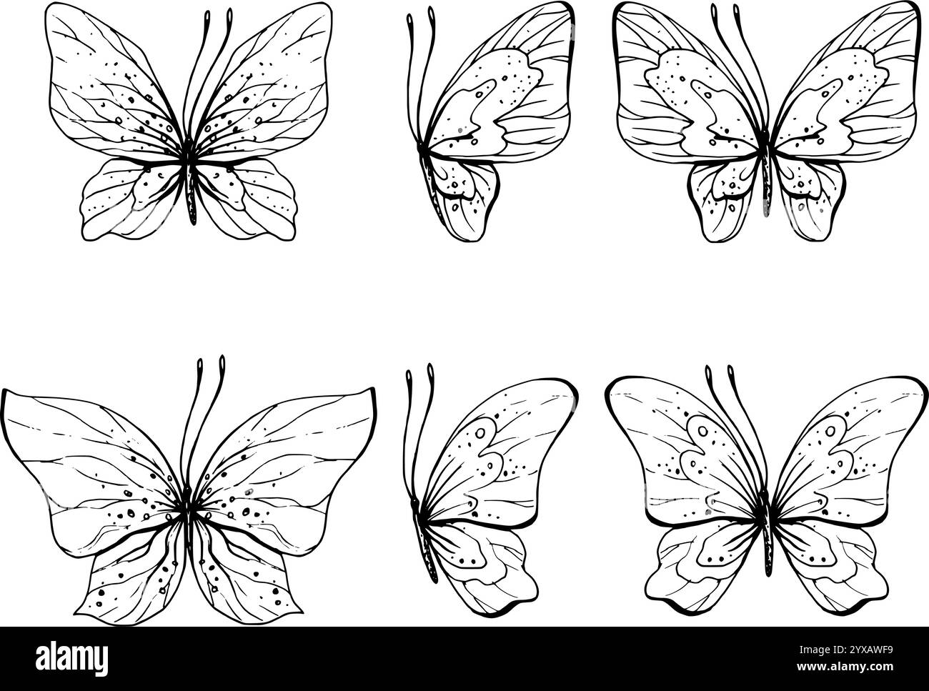 Butterflies flying, delicate line art, clip art. Graphic illustration ...