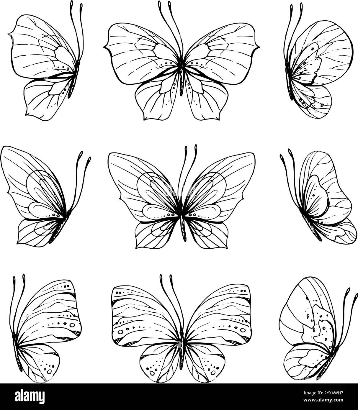 Butterflies flying, delicate line art, clip art. Graphic illustration ...