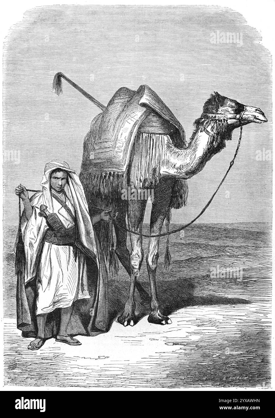 Egypt driver Black and White Stock Photos & Images - Alamy