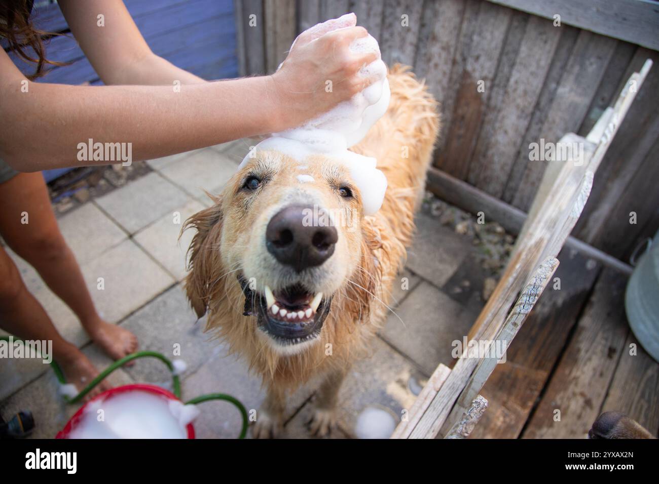 Overhead view of a barefoot woman standing in a backyard washing her ...