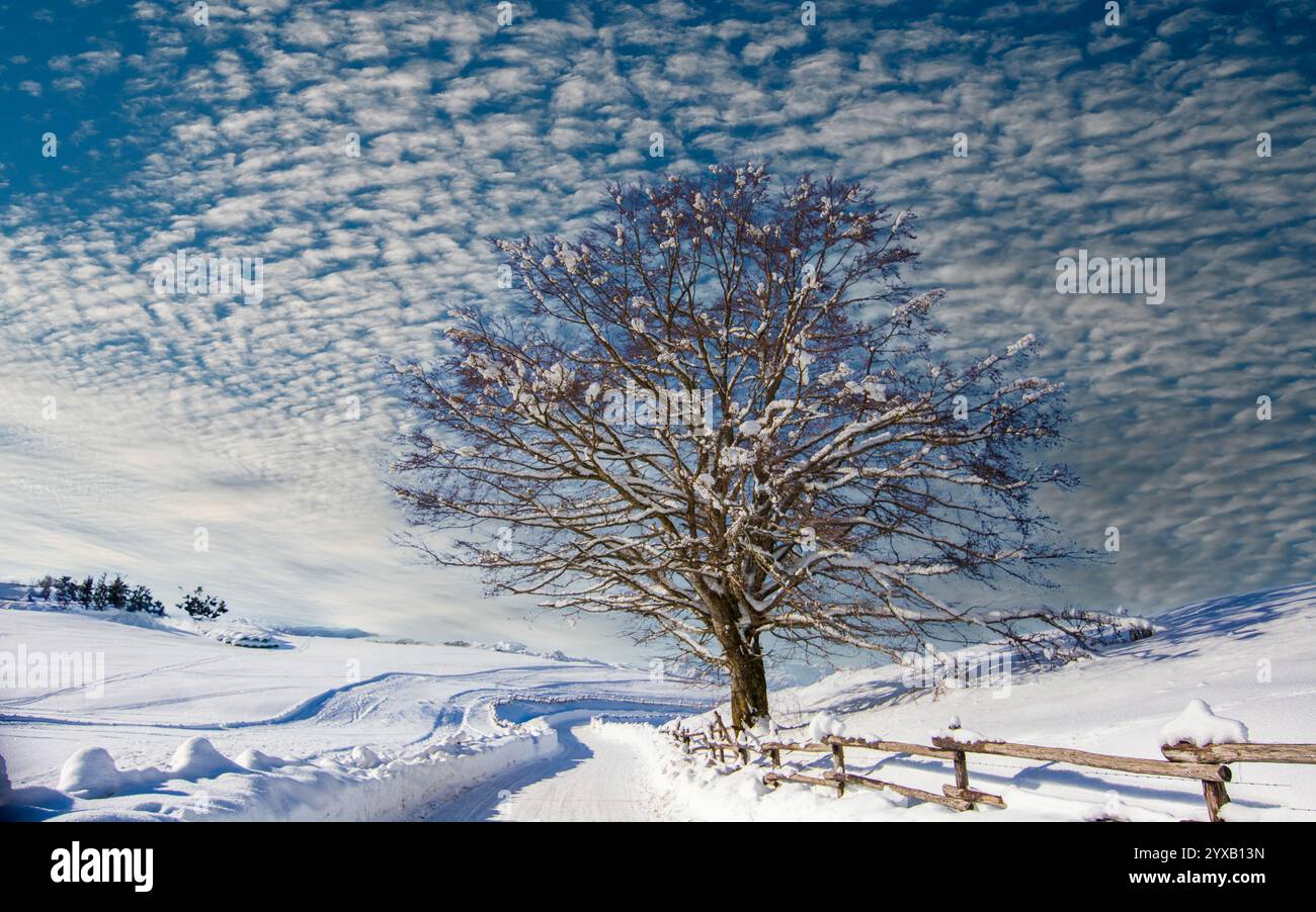 the magic of winter landscapes in the mountains Stock Photo - Alamy