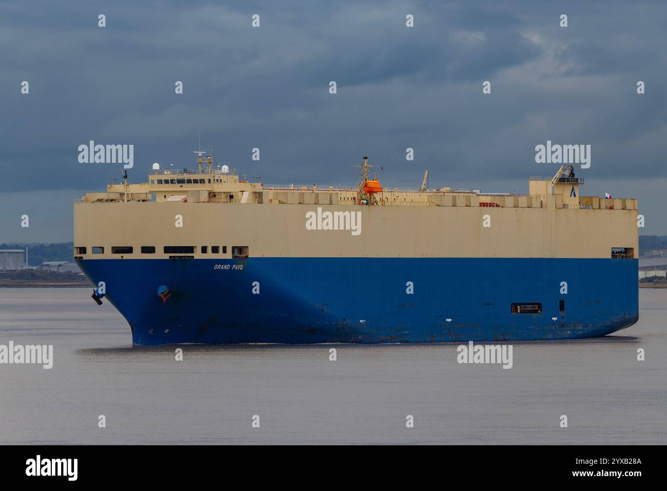 Vehicle carrier Grand Pavo heading out to sea after leaving Royal ...