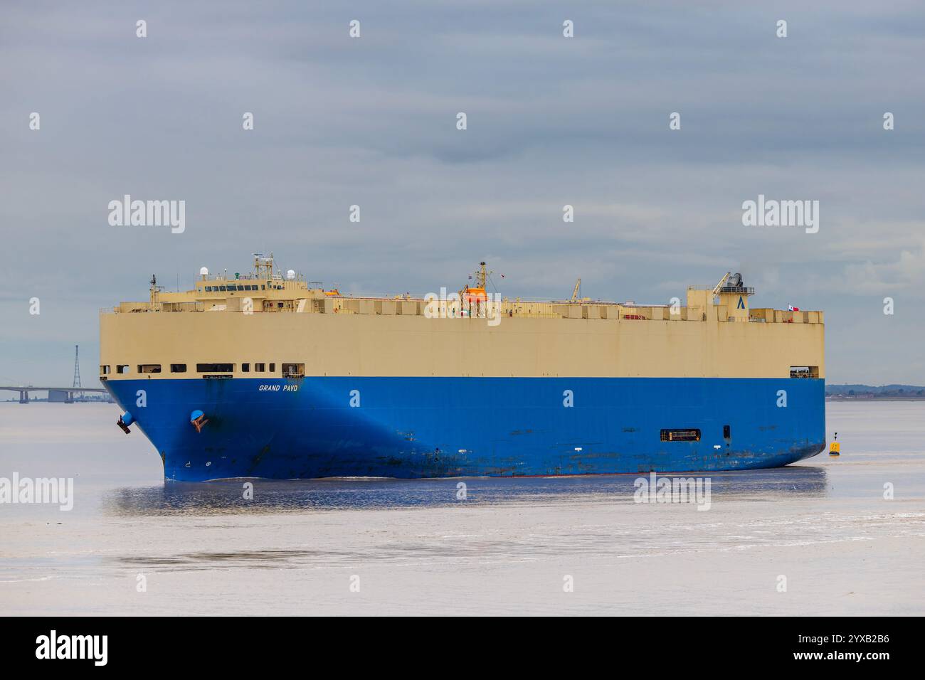 Vehicle carrier Grand Pavo heading out to sea after leaving Royal ...