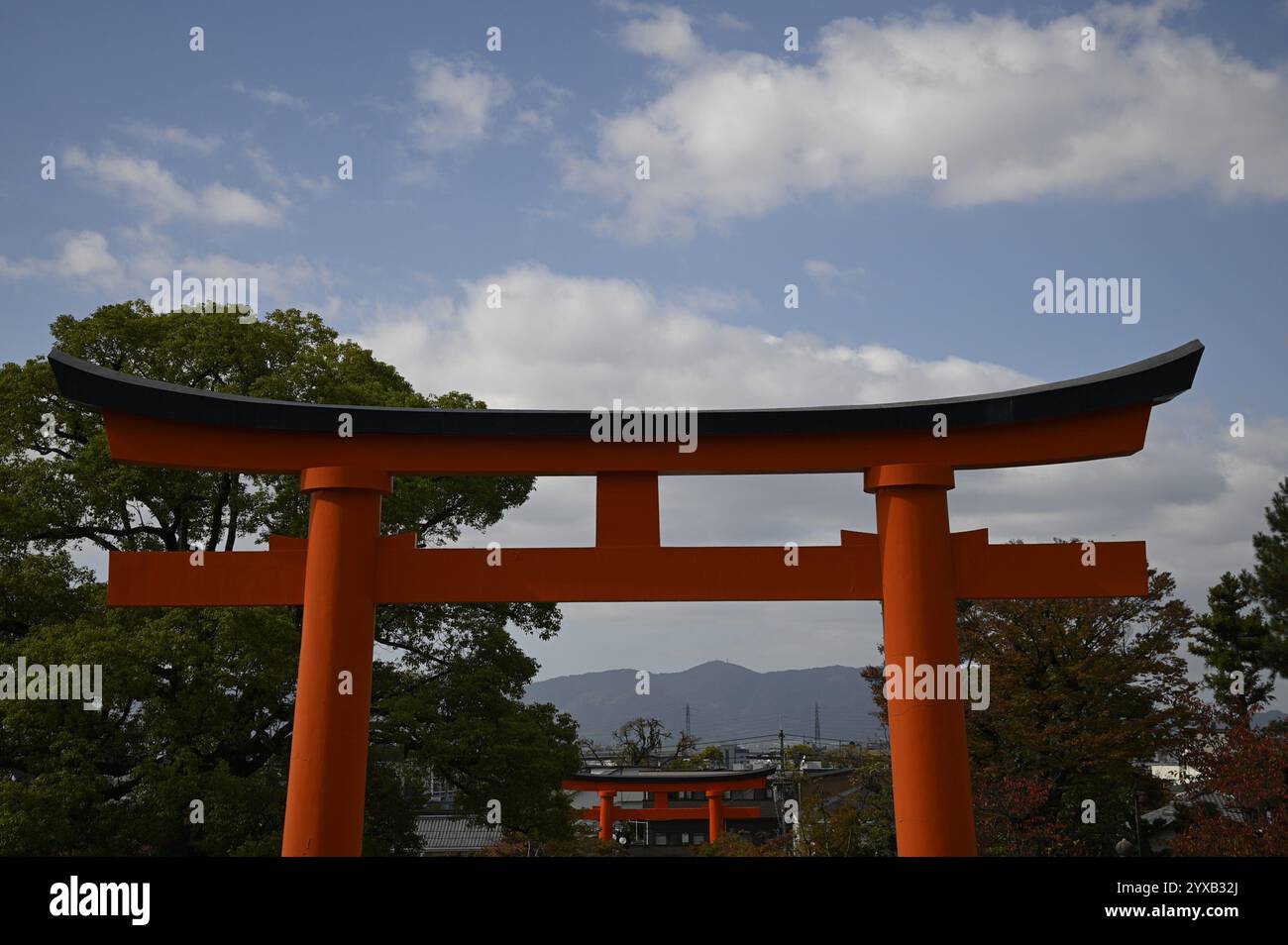 Scenic view of a giant vermilion torii gate at the Shinto Shrine ...