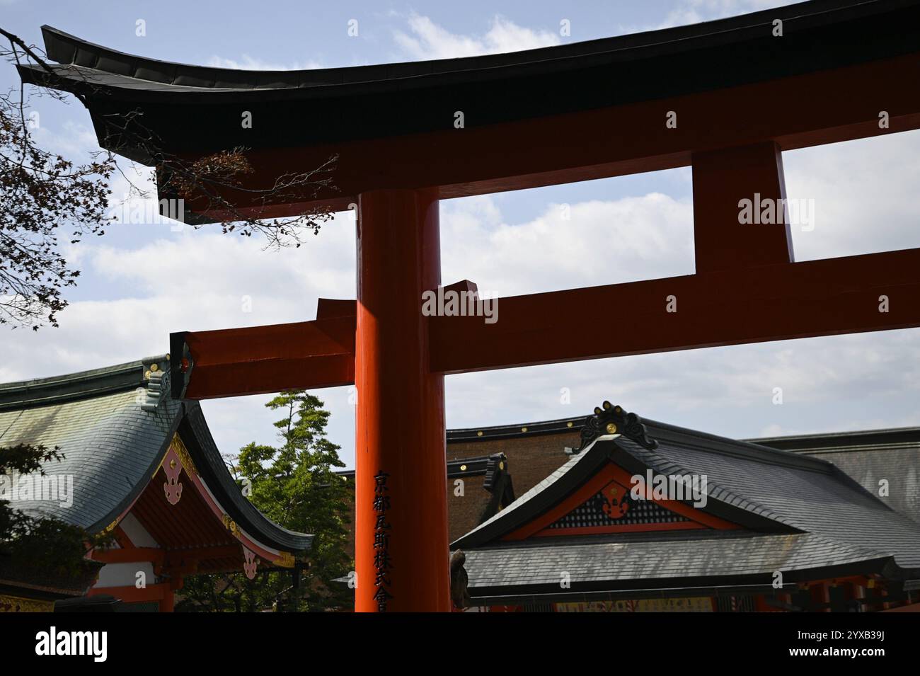 Scenic view of a giant vermilion torii gate at the Shinto Shrine ...