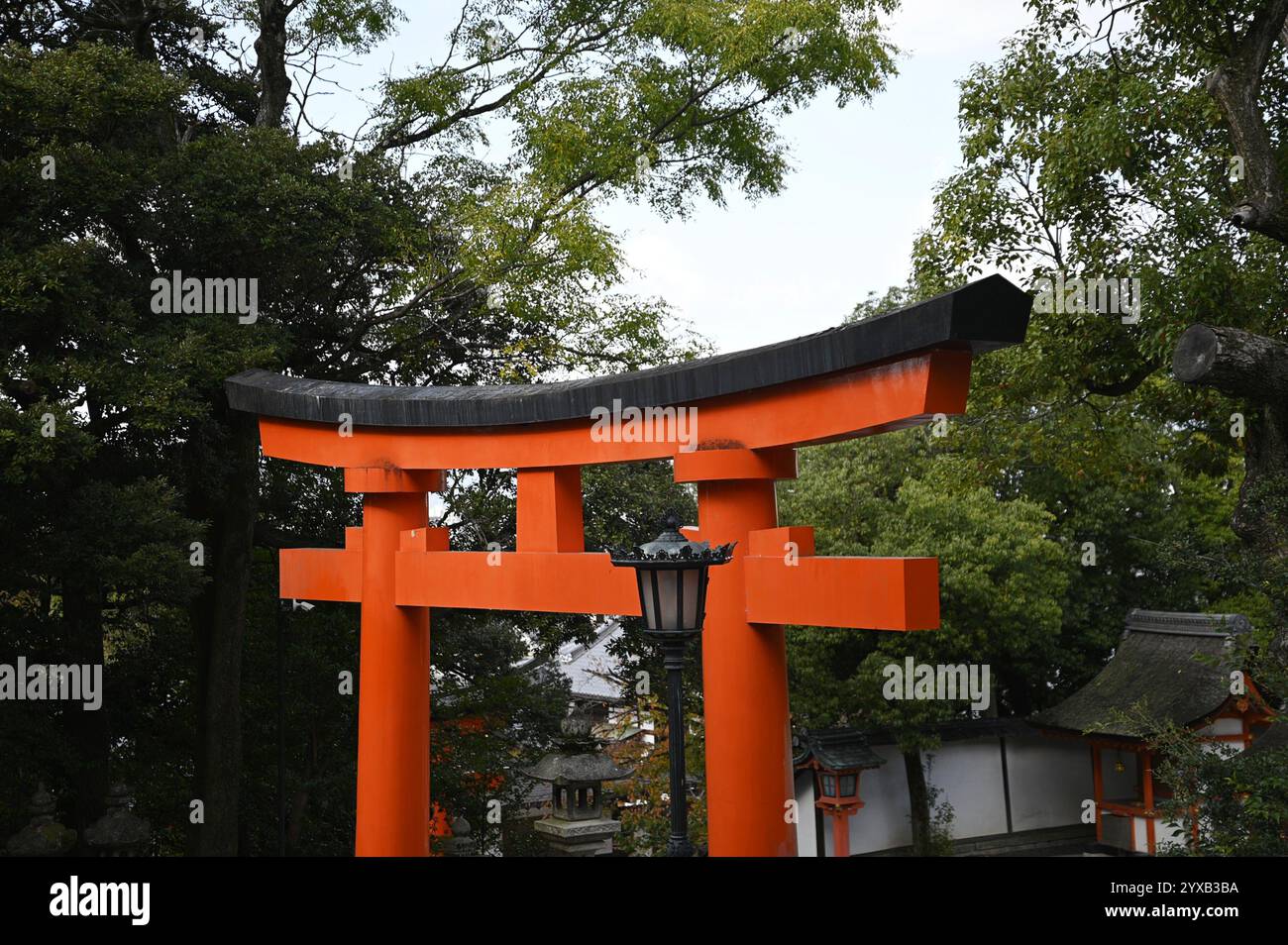 Scenic view of a giant vermilion torii gate at the Shinto Shrine ...
