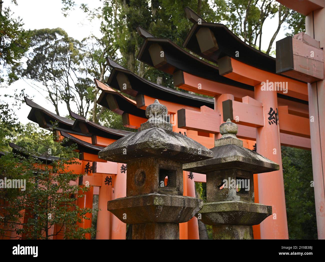 Traditional Japanese Tachi-dōrō stone lanterns on the grounds of the ...