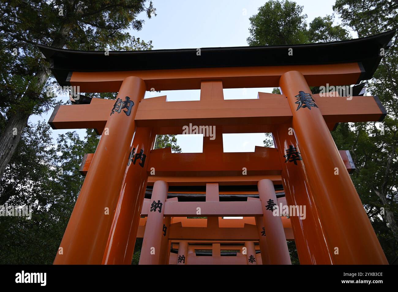 Scenic view of a torii path gate across the mountain at the Shinto ...