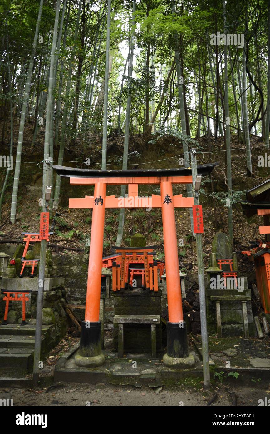 Scenic view of vermilion torii gates on the grounds of the Shinto ...