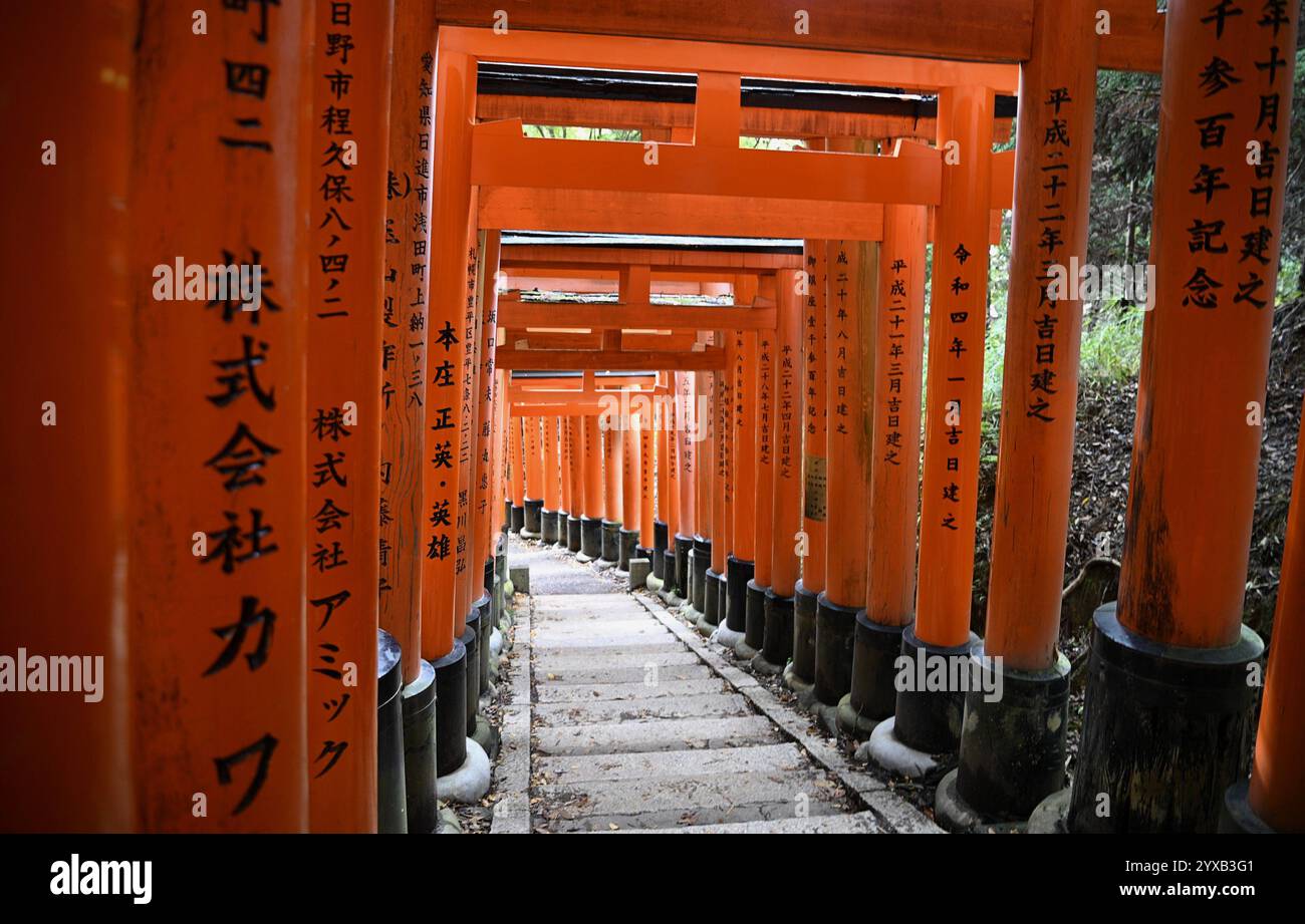 Scenic view of the north-eastern wing of Senbon Torii path with the ...