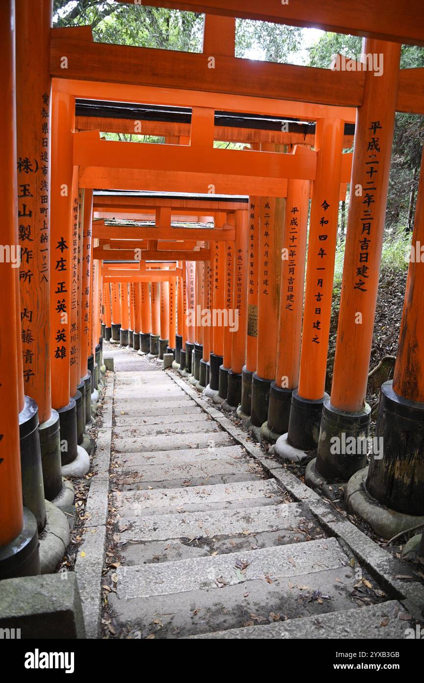 Scenic view of the north-eastern wing of Senbon Torii path the ...