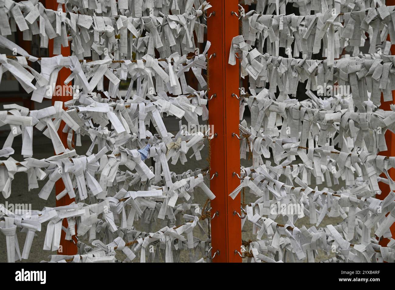 Traditional Japanese Omikuji wish tree in front of Daigokuden Main Hall ...