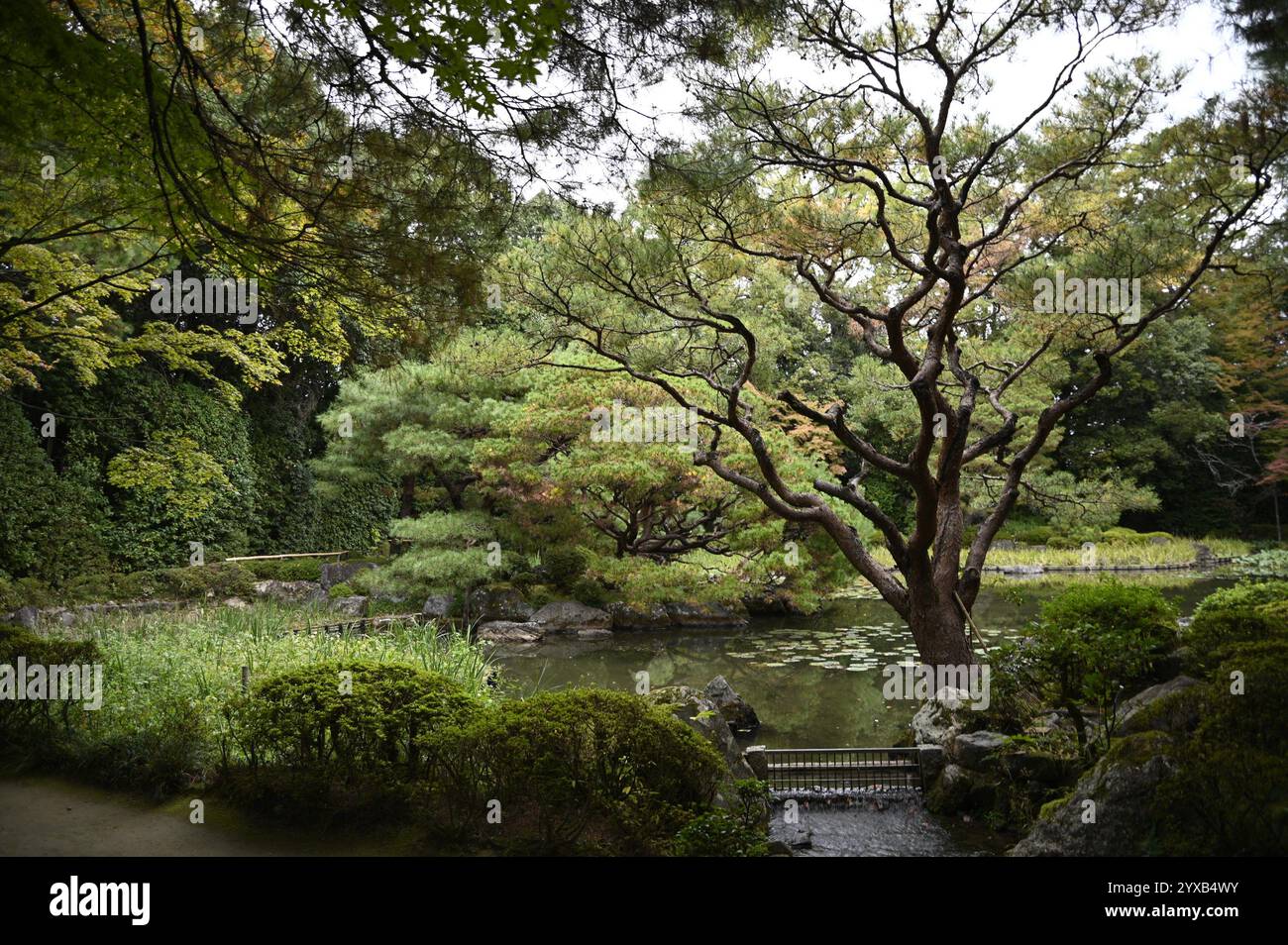 Landscape with scenic view of Naka Shin-en Garden and Soryu-ike pond on ...