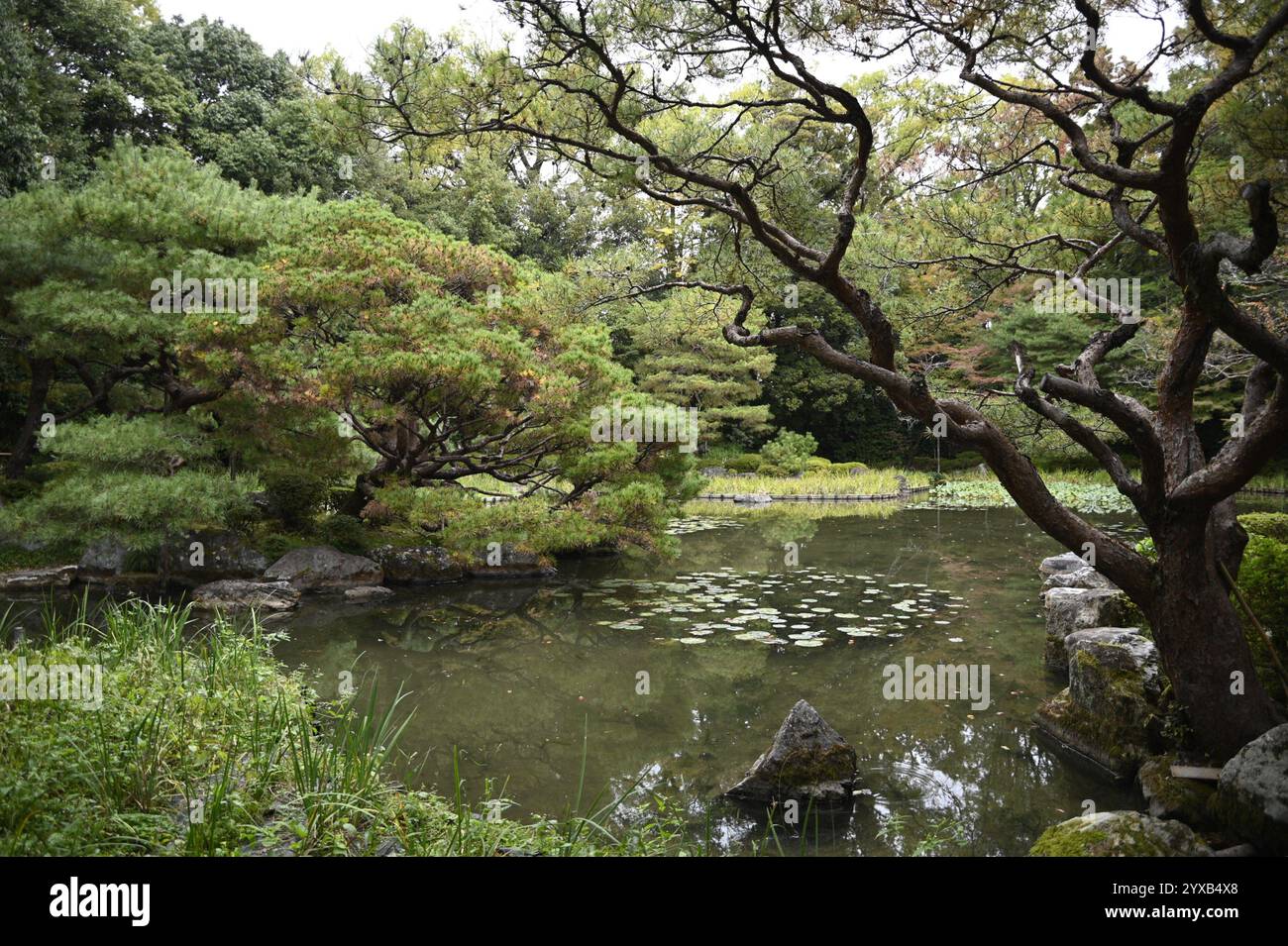 Landscape with scenic view of Naka Shin-en Garden and Soryu-ike pond on ...
