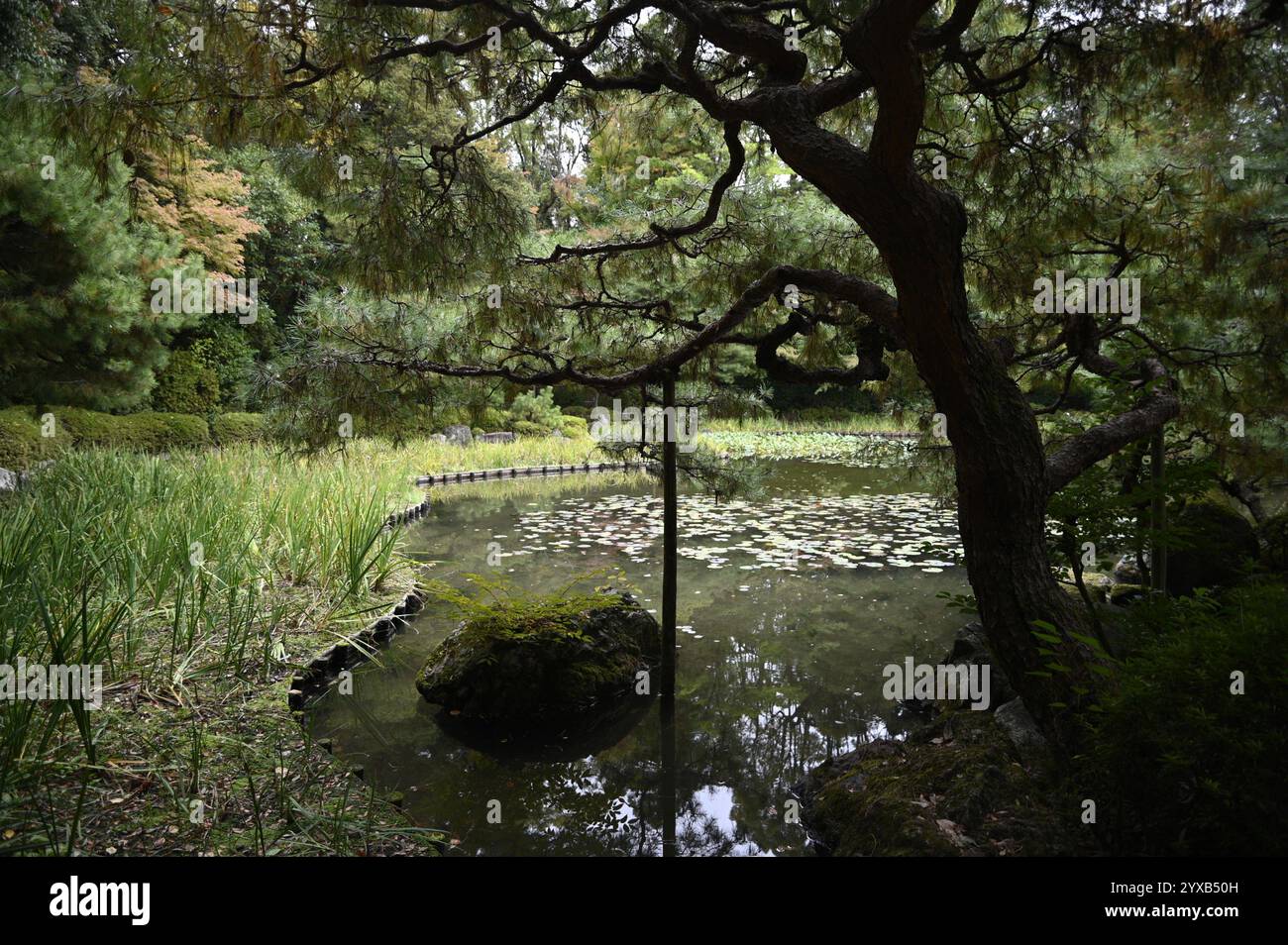 Landscape with scenic view of Naka Shin-en Garden and Soryu-ike pond on ...