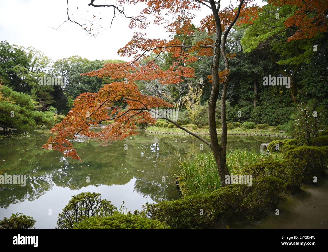 Autumn landscape at Naka Shin-en Garden and Soryu-ike pond on the ...