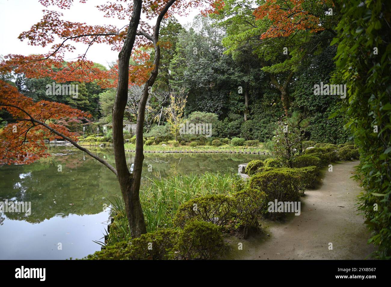 Autumn landscape at Naka Shin-en Garden and Soryu-ike pond on the ...