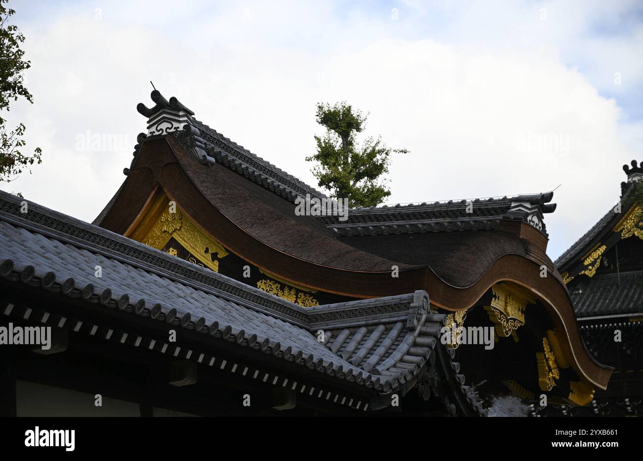 Scenic rooftop view of the Edo period Amida-dō-mon Gate at Higashi ...