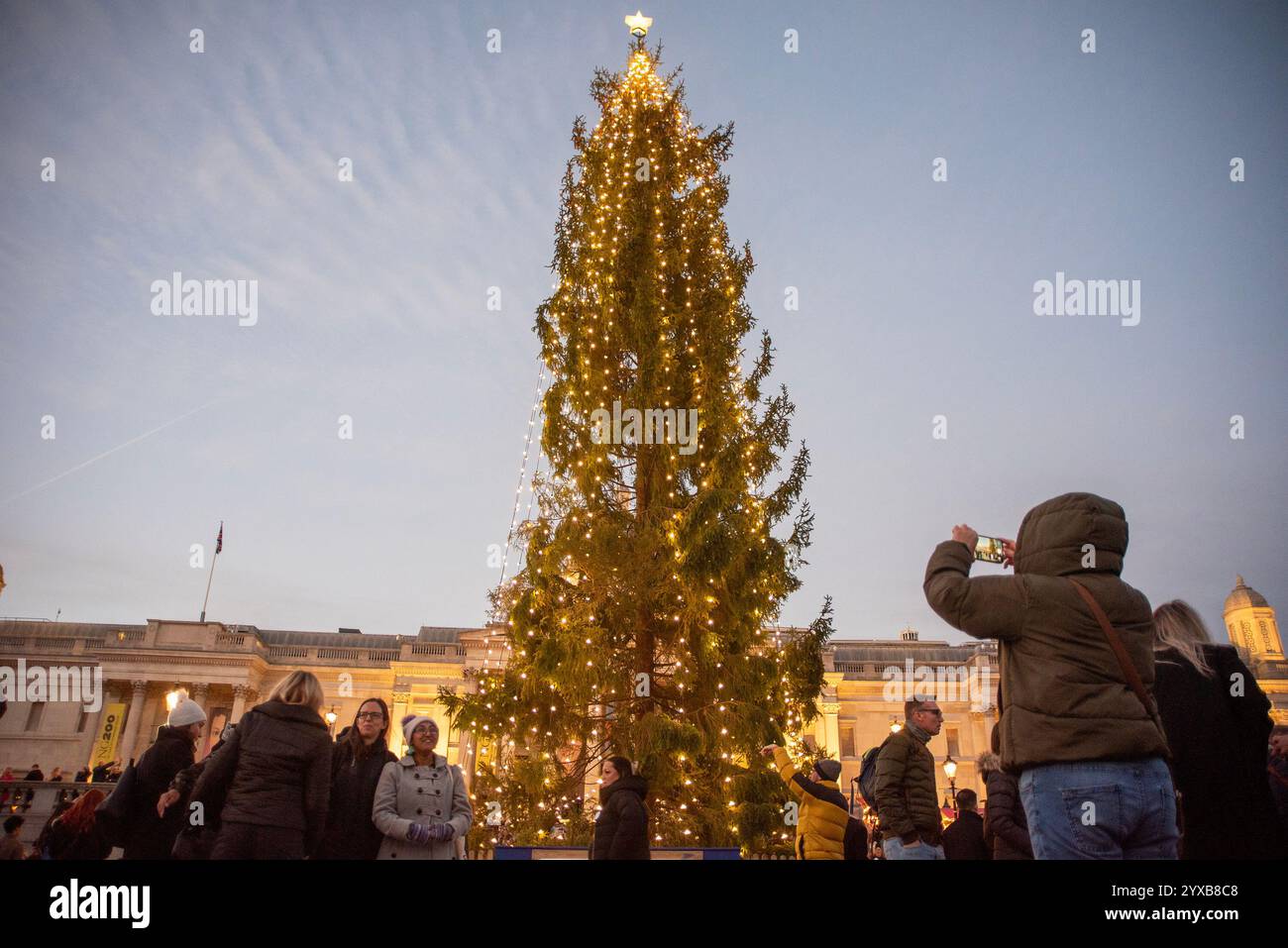 London, UK. 14th Dec, 2024. People take photos from the Norwegian Christmas tree at the ...