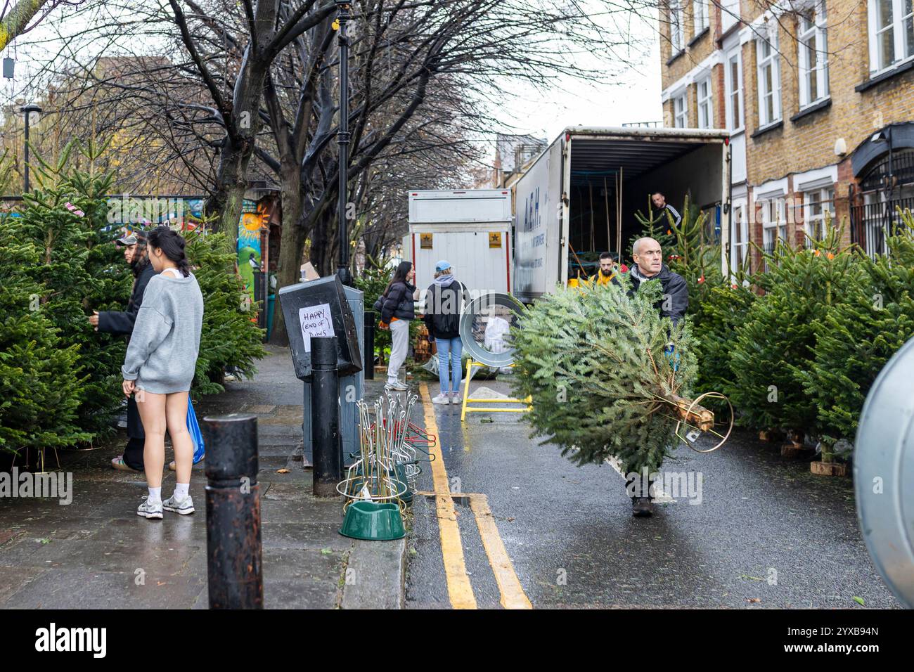 London, UK – December 1, 2024 A man selling Christmas trees is taking ...