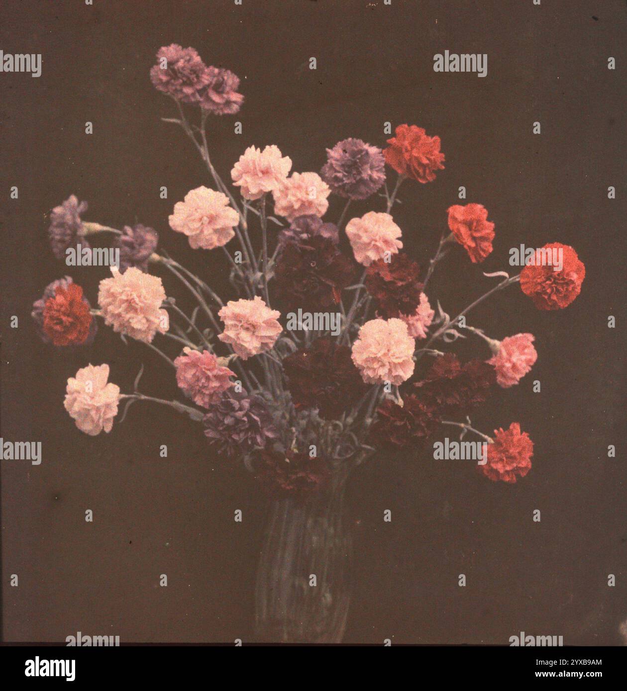 Autochrome plates hi-res stock photography and images - Alamy