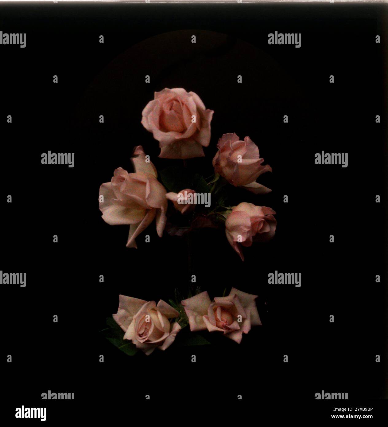 Autochrome hi-res stock photography and images - Alamy