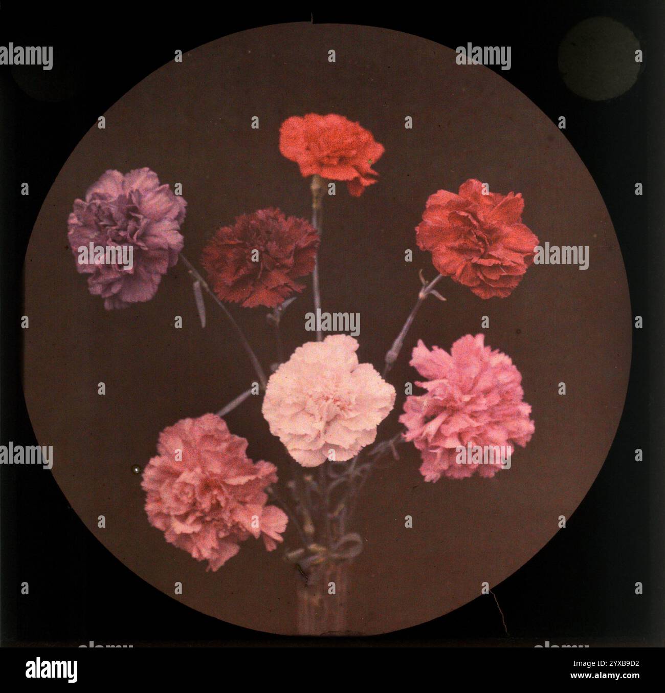 Autochrome hi-res stock photography and images - Alamy