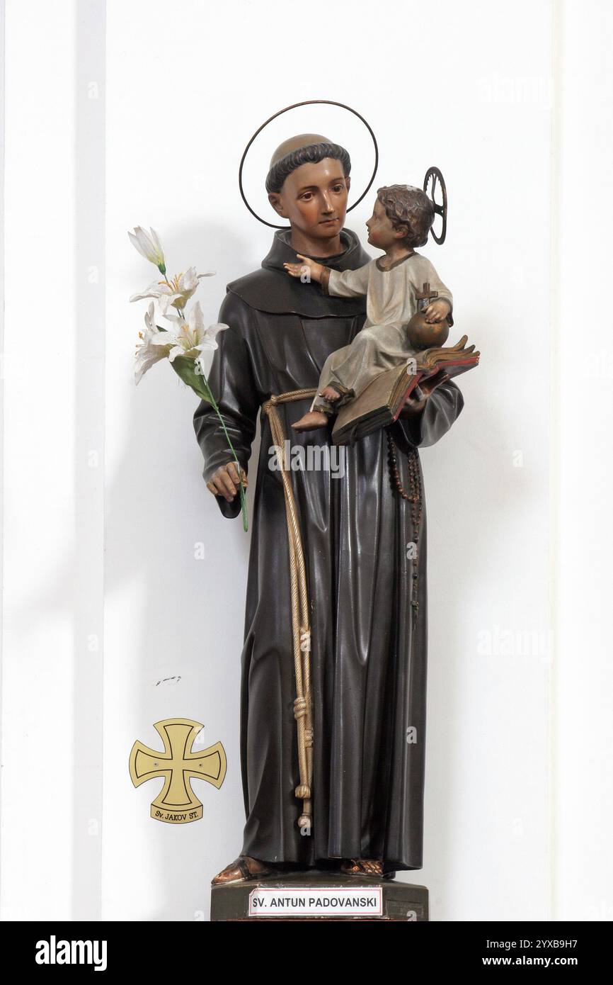 Saint Anthony of Padua, statue in the Parish Church of Saint Lawrence ...