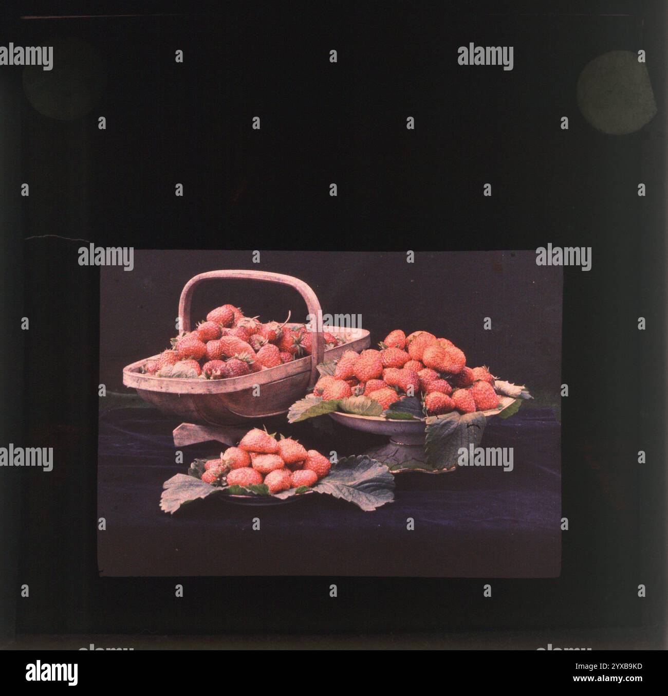 Autochrome plates hi-res stock photography and images - Alamy