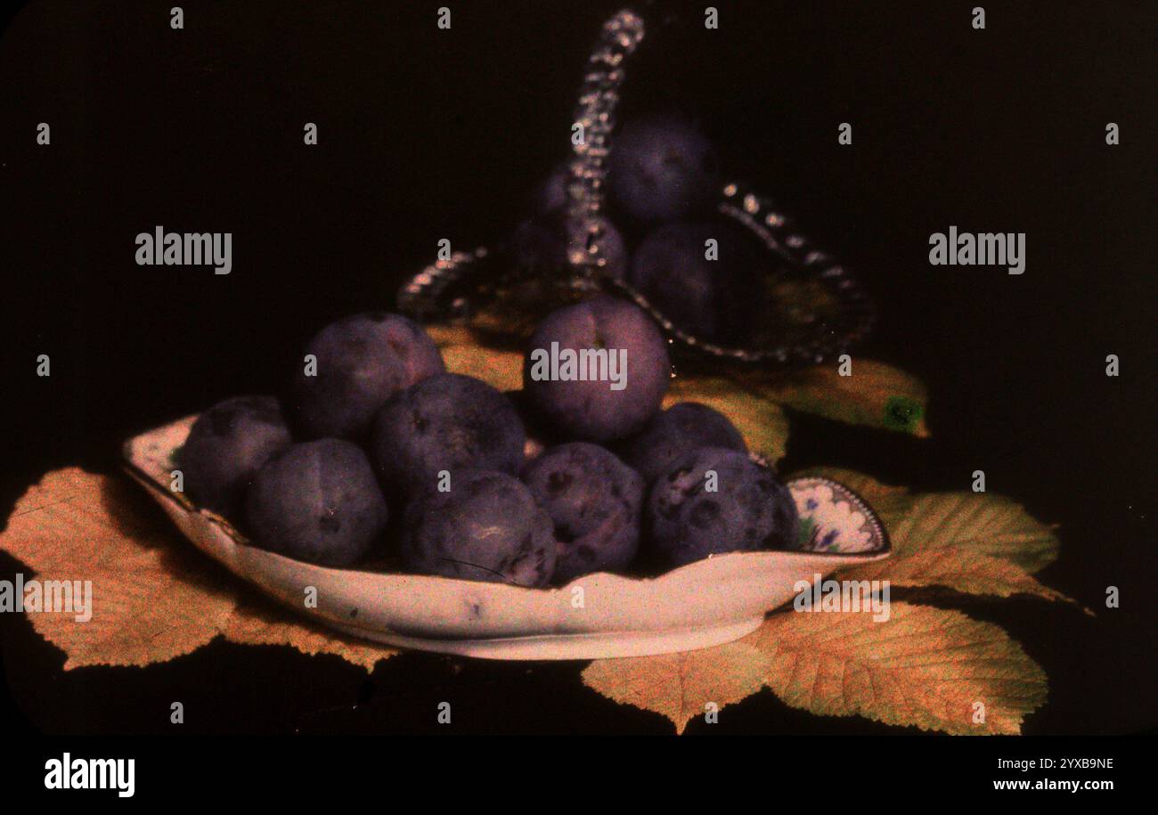 Autochrome plates hi-res stock photography and images - Alamy