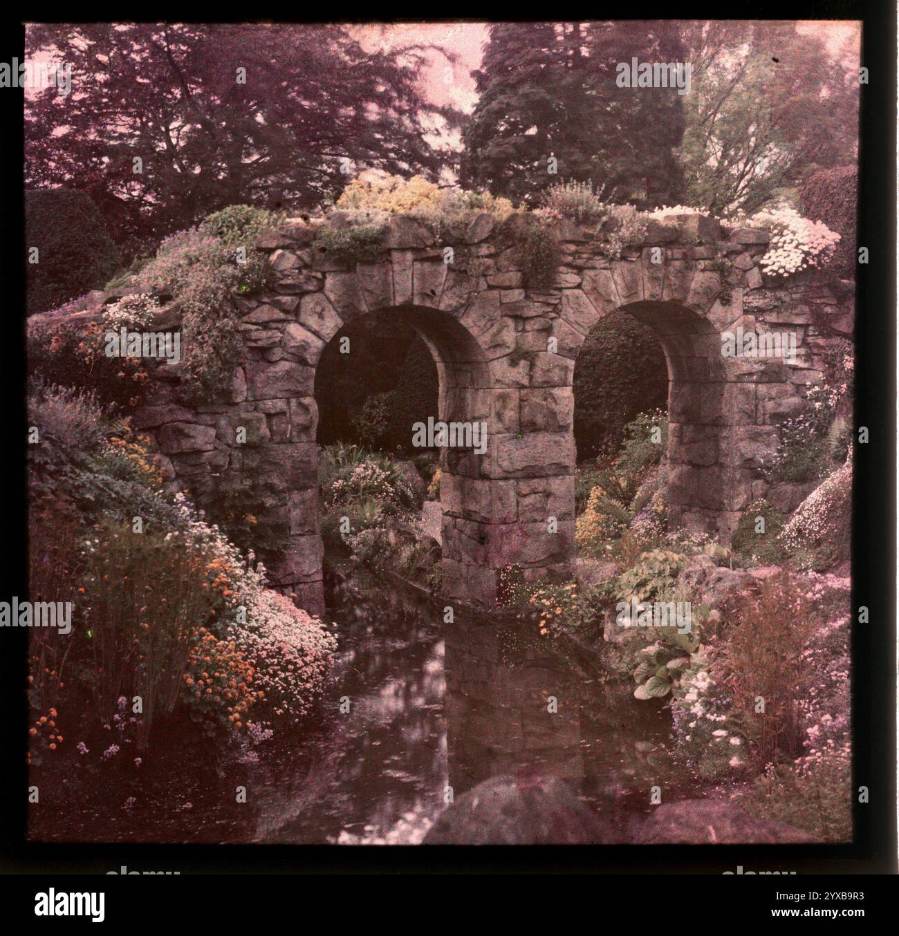 Autochrome plates hi-res stock photography and images - Alamy