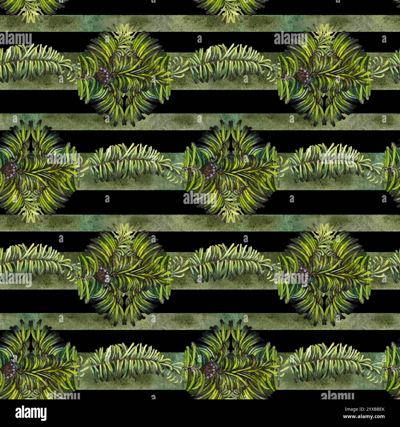 Christmas green fir branches in a seamless pattern on a black background. Watercolor ...