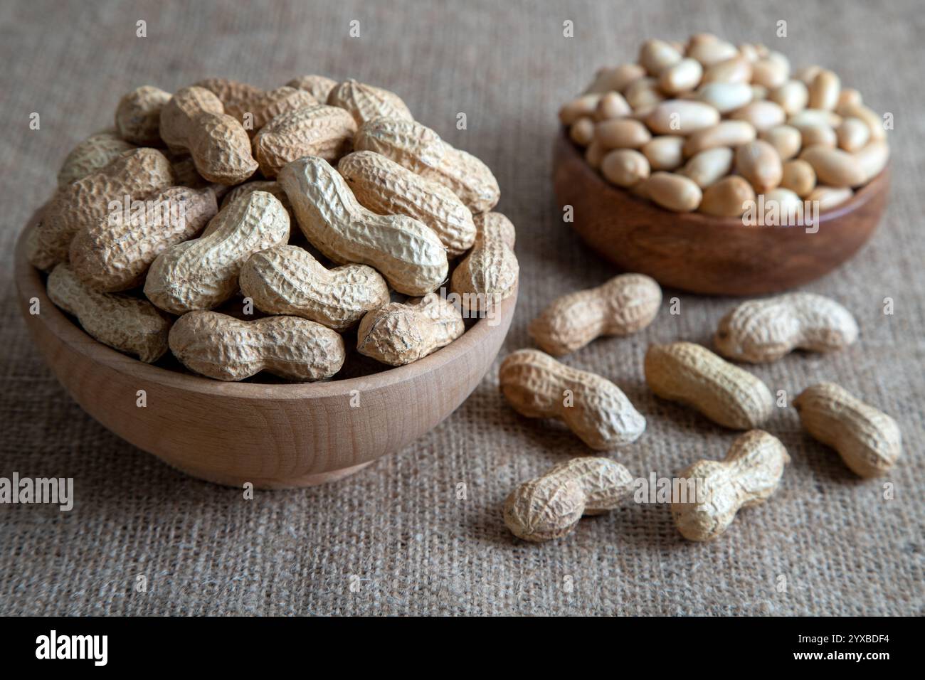 Peeled raw peanuts dried hi-res stock photography and images - Alamy