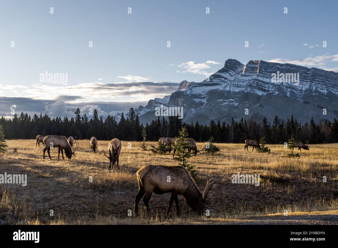 Canadian wilderness adventures hi-res stock photography and images - Alamy