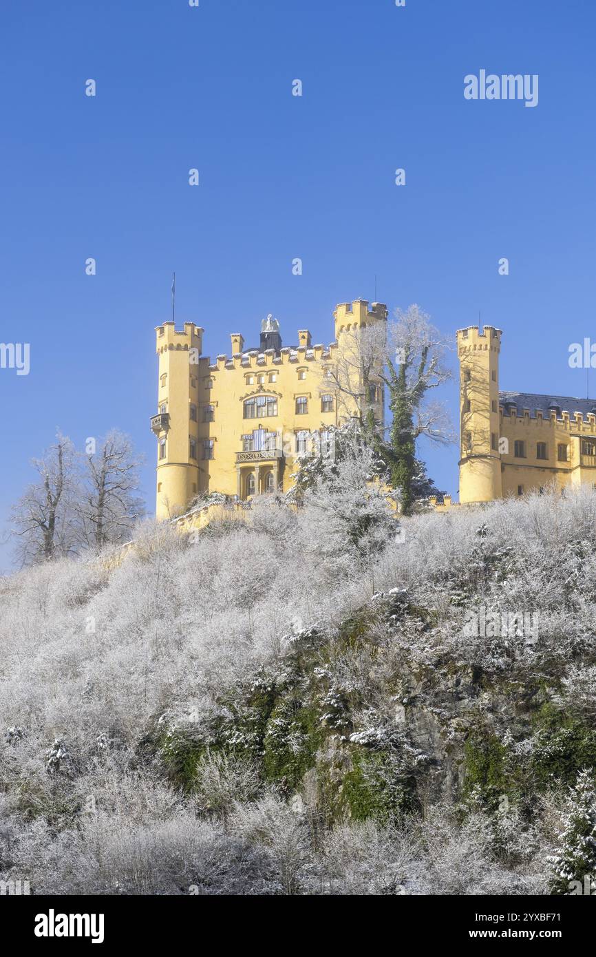 A yellow castle with towers, surrounded by snow-covered trees under a ...