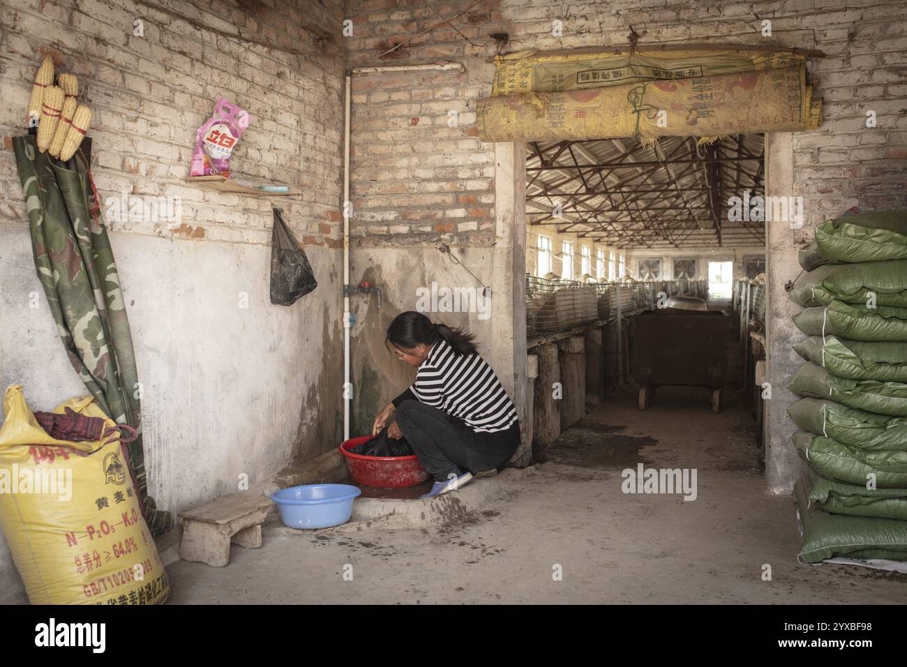 Labourer Ma Jian Hui, the workers live in the respective buildings ...
