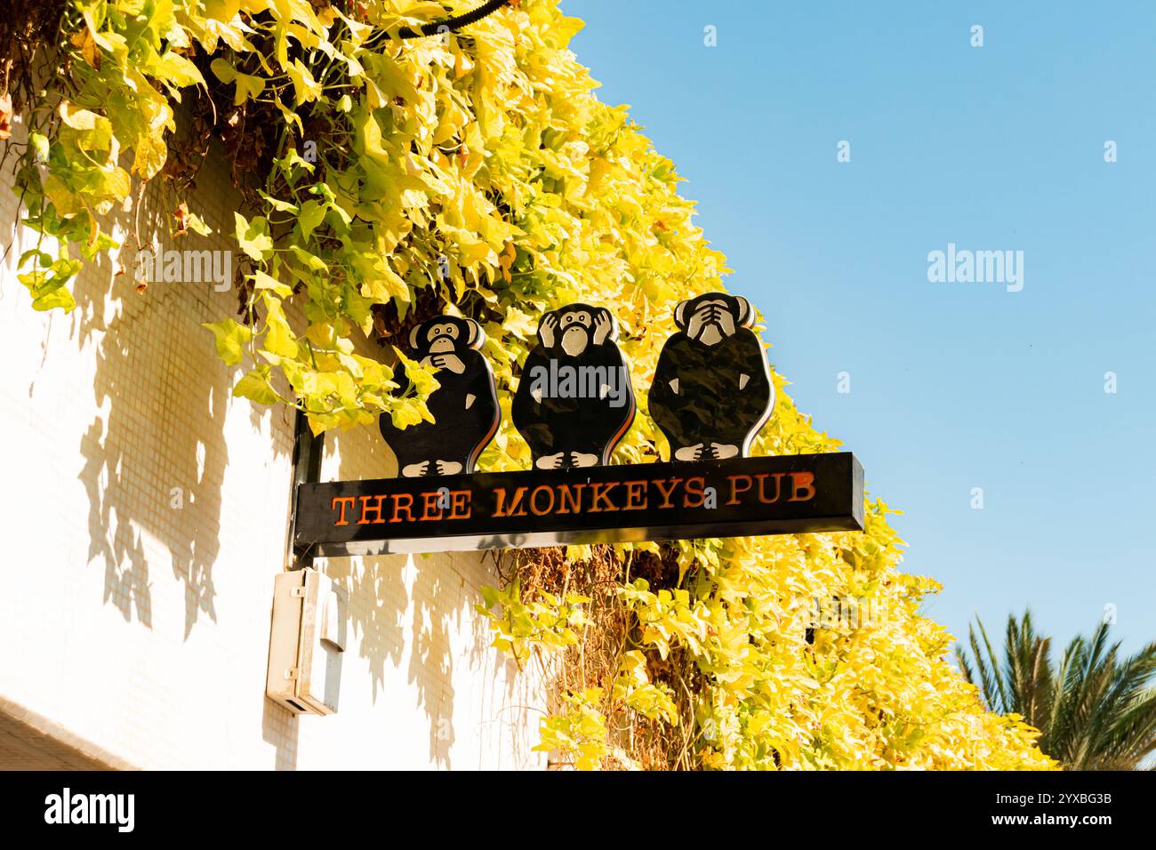 Three monkeys pub hi-res stock photography and images - Alamy