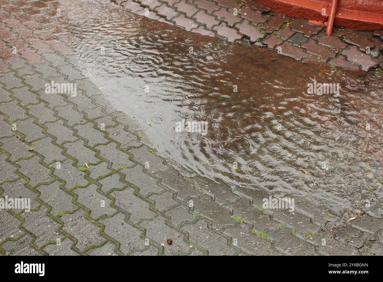 Rain overlay transparent hi-res stock photography and images - Alamy