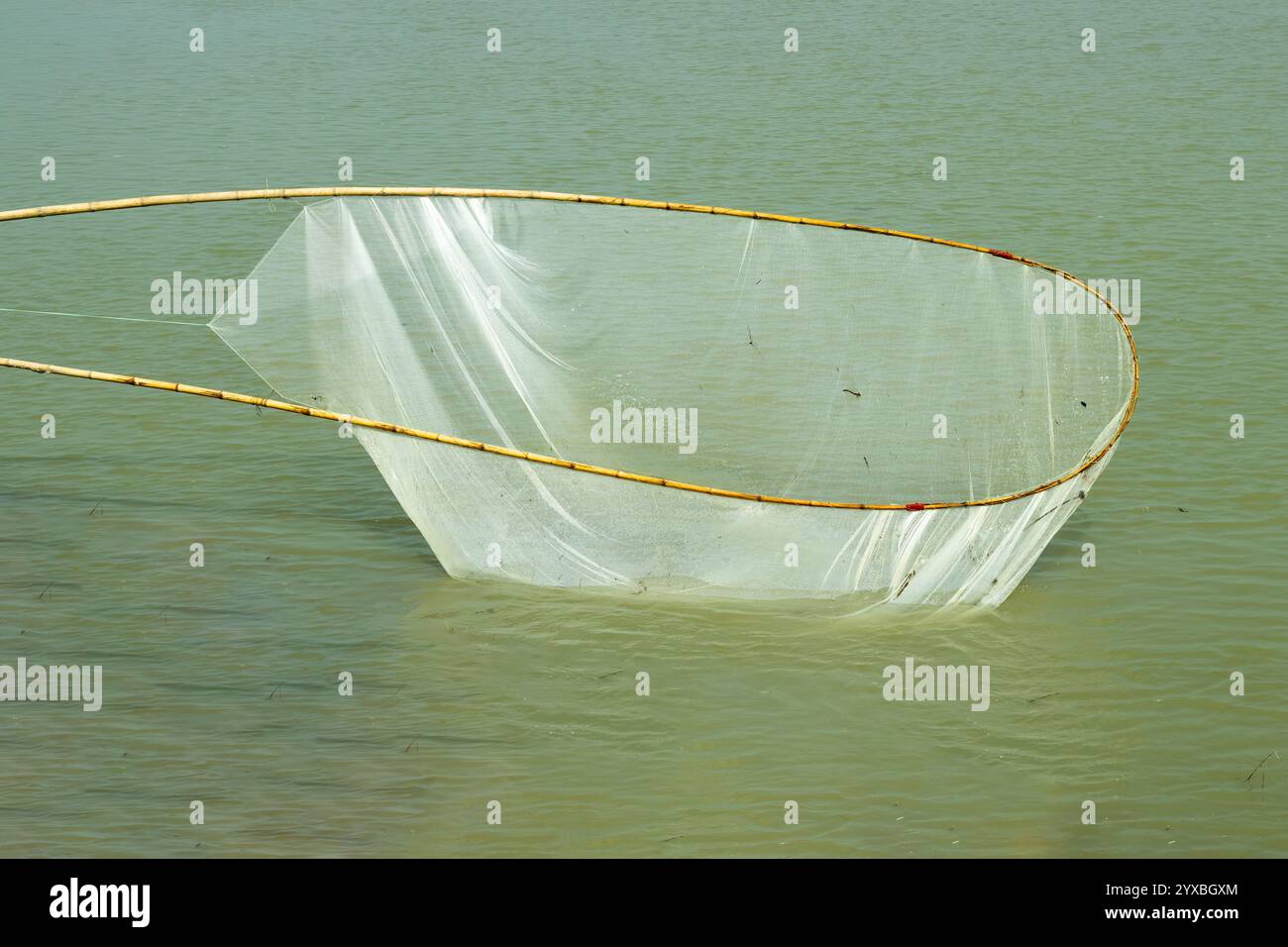 Manual net for fishing in the river shore, many types of small fish ...