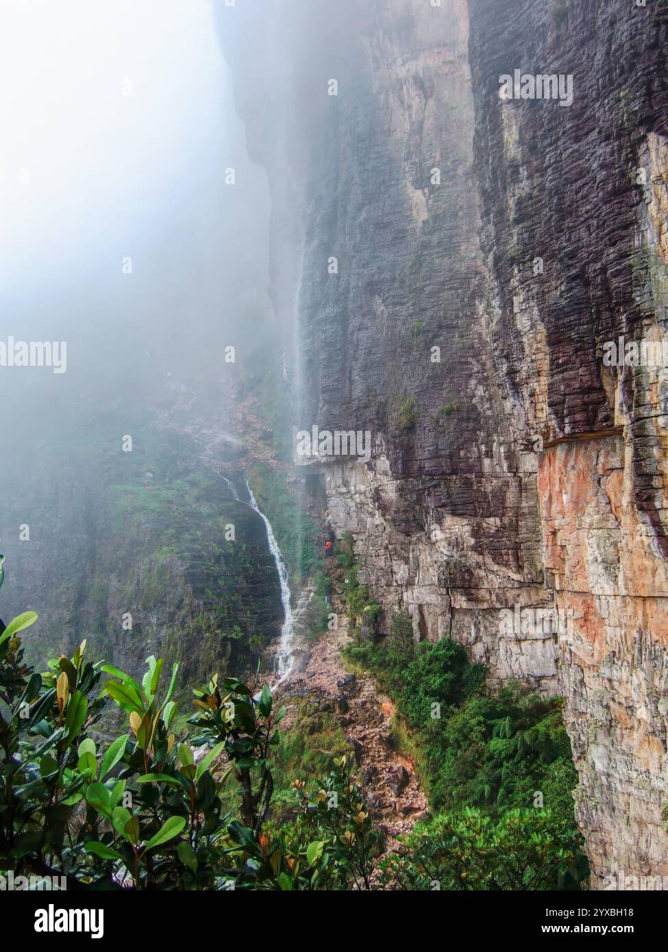 Rock ledge walking route up the cliff face of Mount Roraima in cloud ...