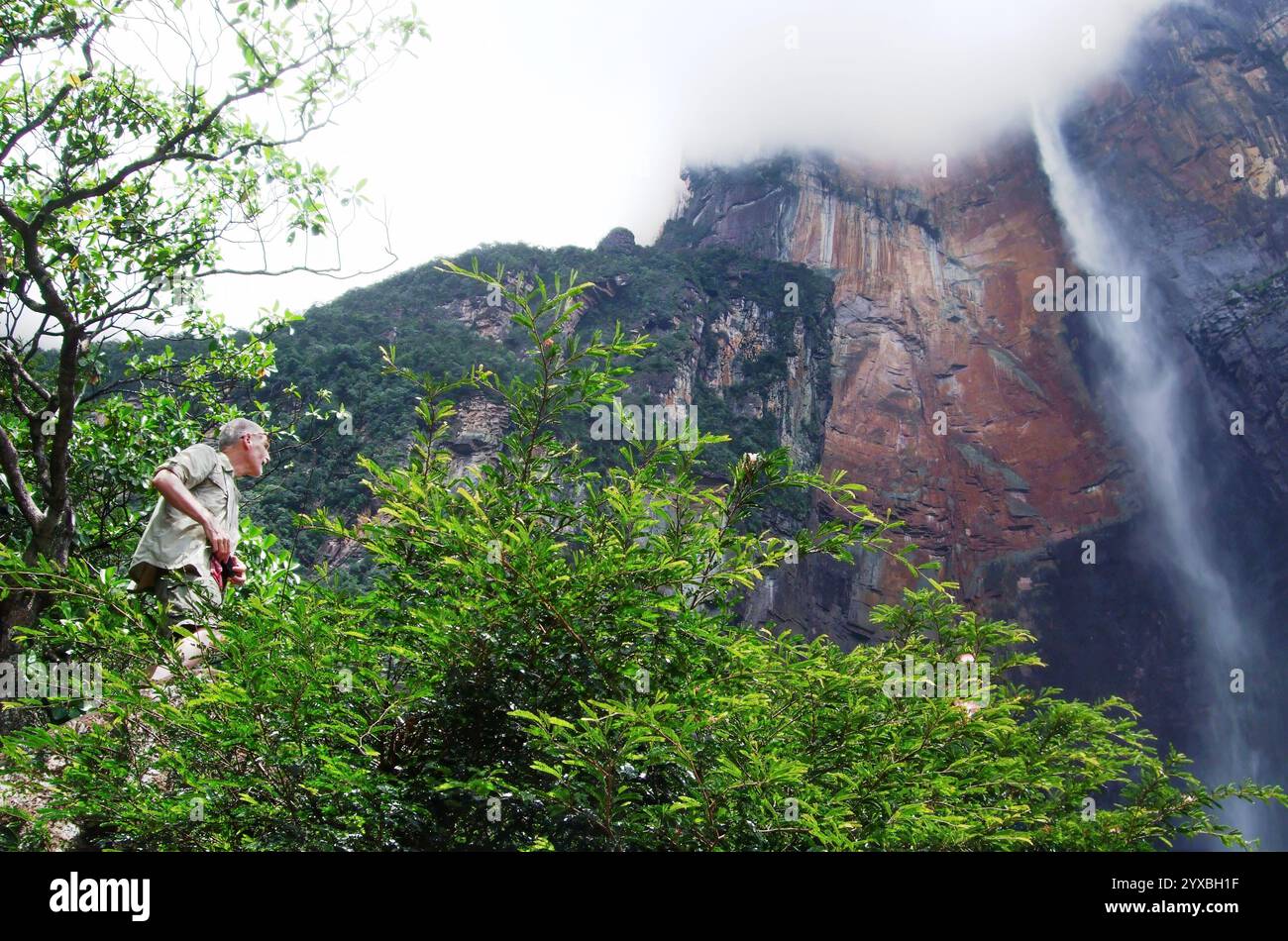 British man looking up at Angel Falls, highest waterfall, Ayantepui ...