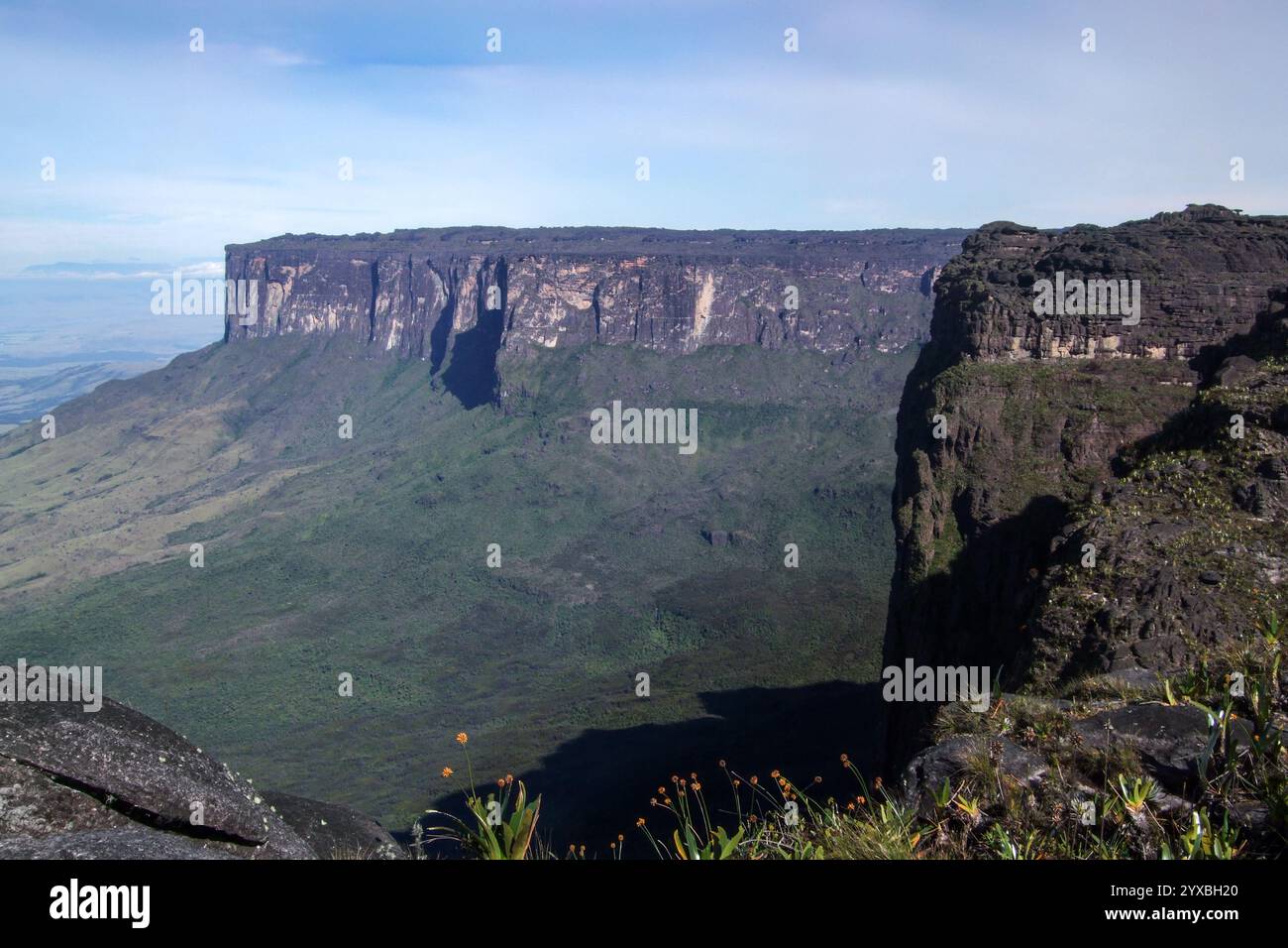 View of cliff face from top of Mount Roraima tepui, Pacarema Mountians ...