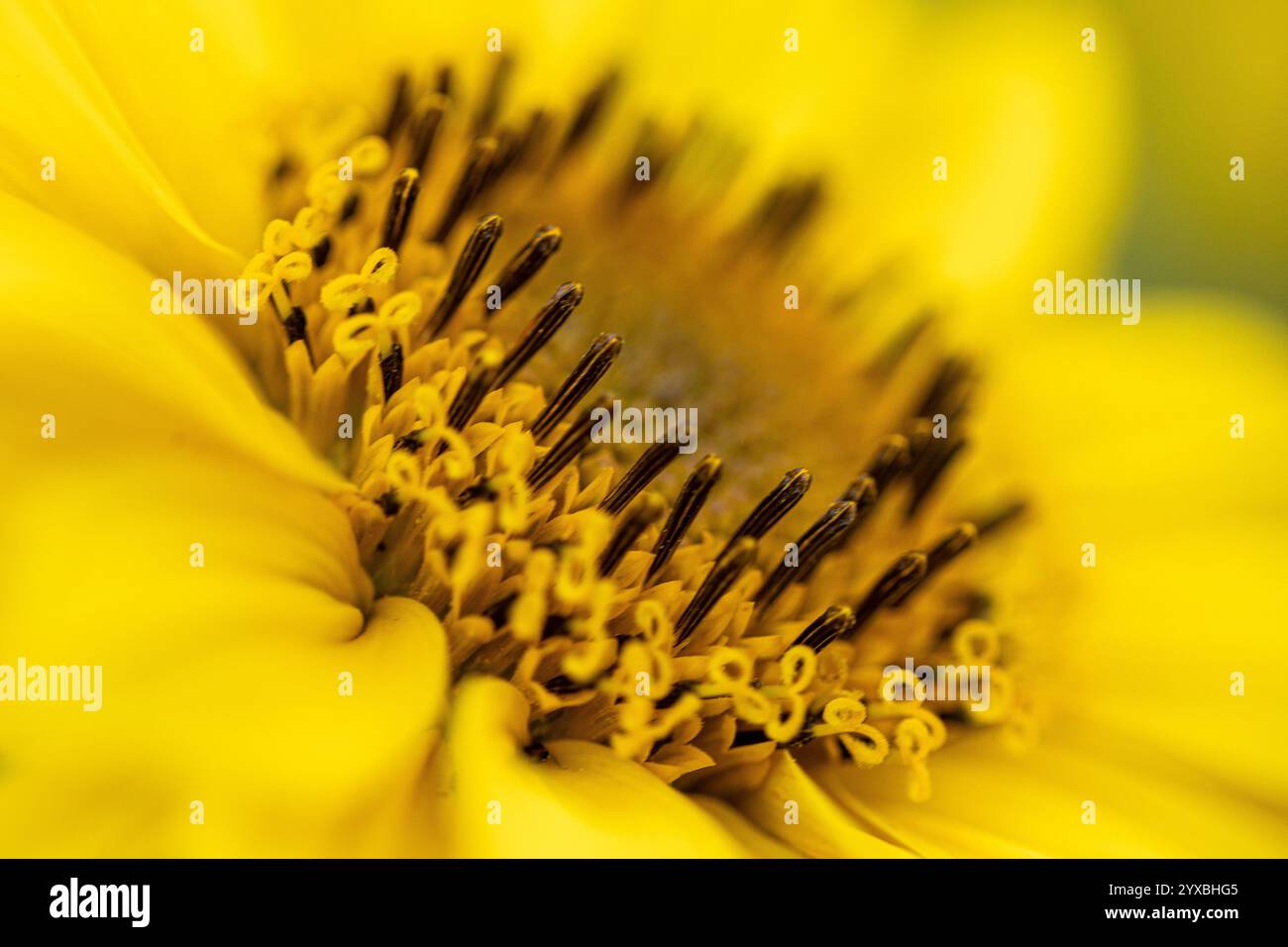 Natural wonders center hi-res stock photography and images - Alamy