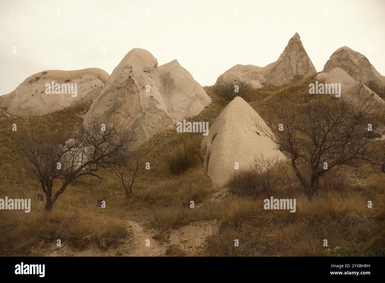 The unique rock landscape formation in Cappadocia, formed by the ...