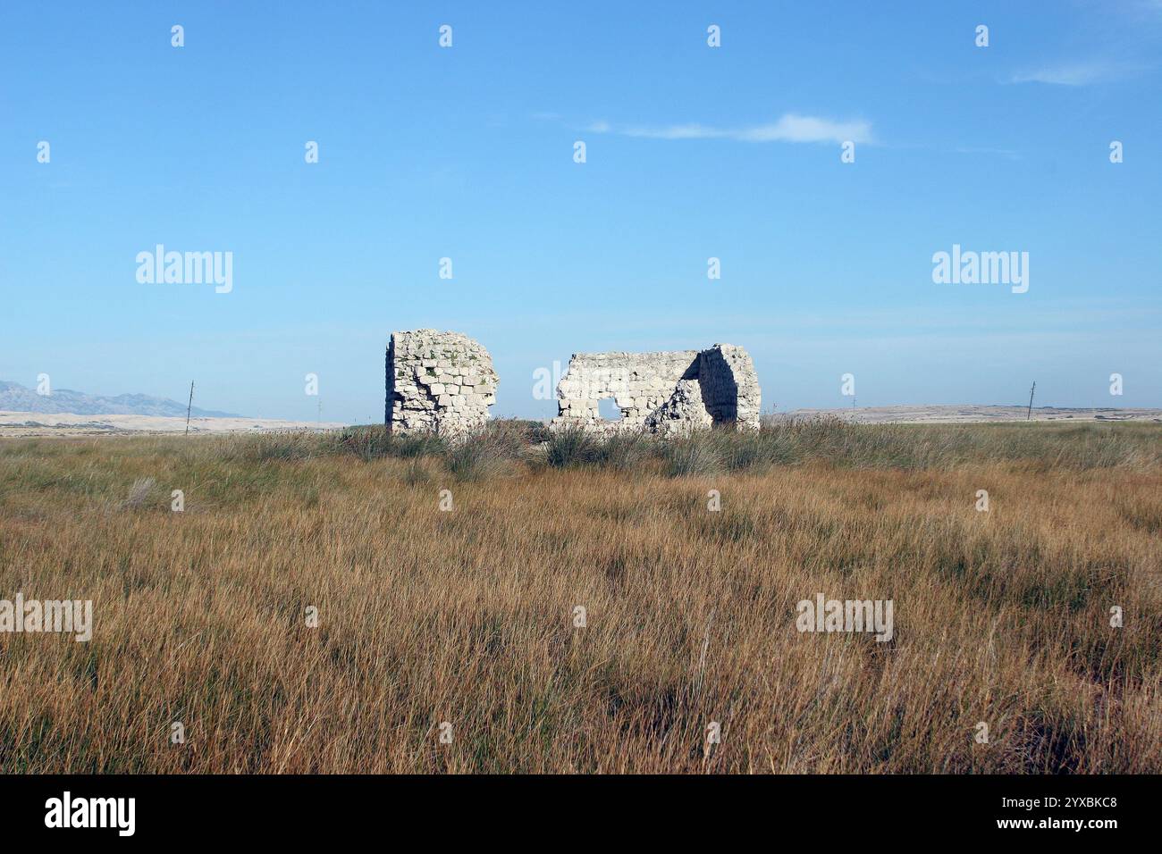 Old ruined stone house in a field on the island of Pag, Croatia Stock ...