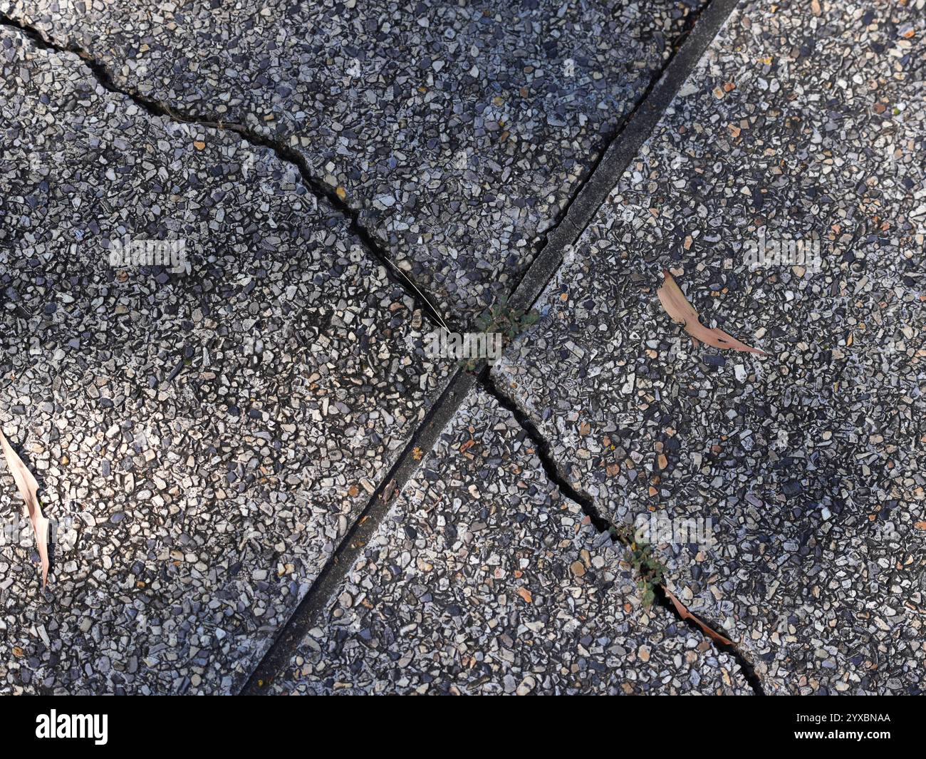 Blank surfaces for art hi-res stock photography and images - Alamy