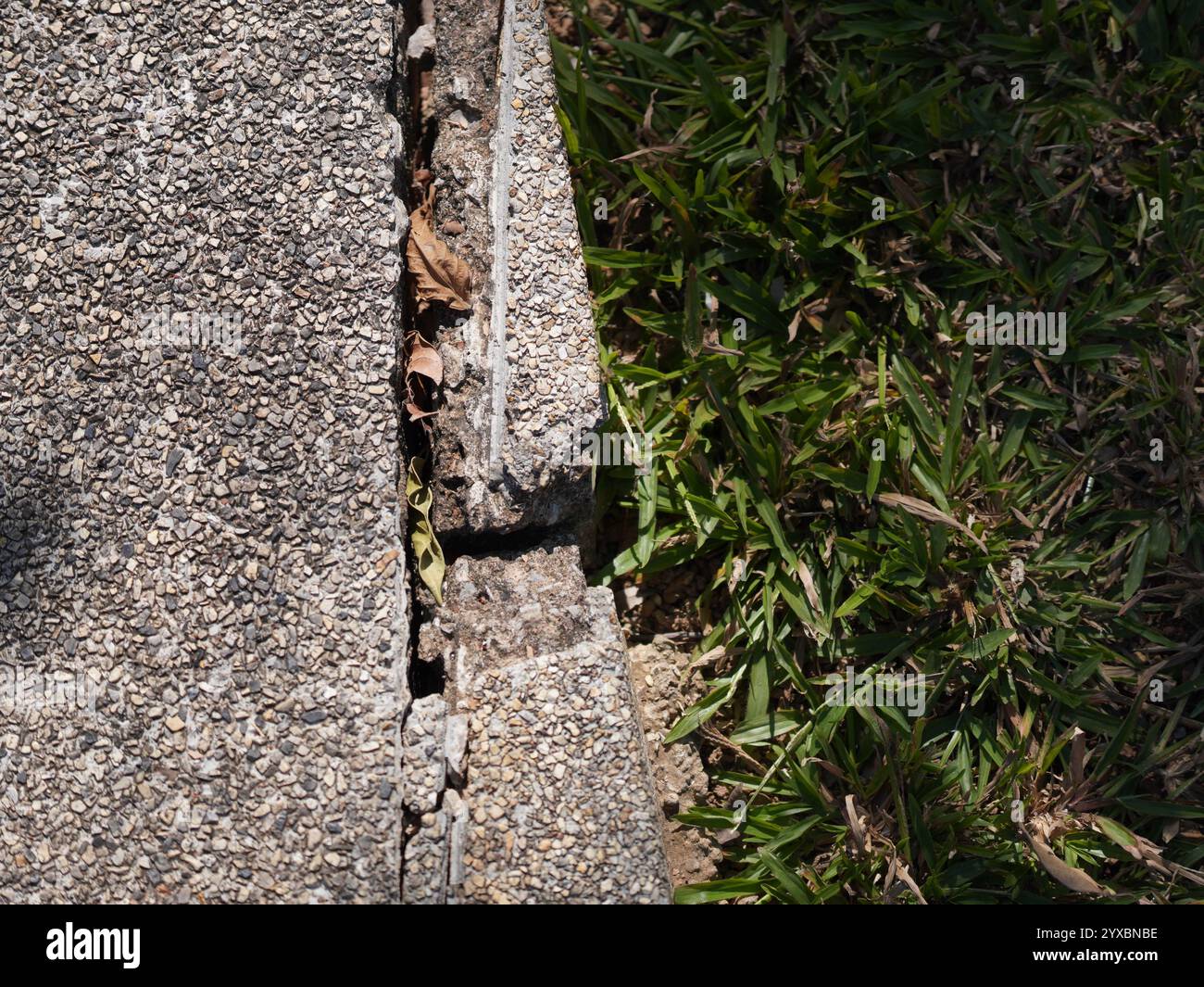 Blank surfaces for art hi-res stock photography and images - Alamy